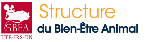 LES 3 R ET AU-DELÀ - SBEA