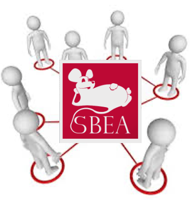 Accueil - SBEA